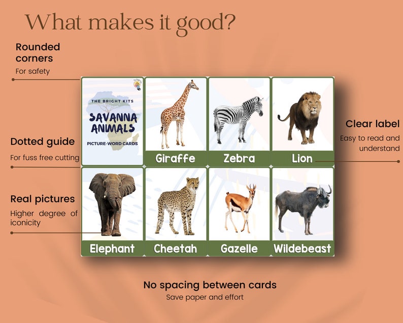 Animal Printable Picture-word Cards Set (105 Cards) | Animal Habitat ...