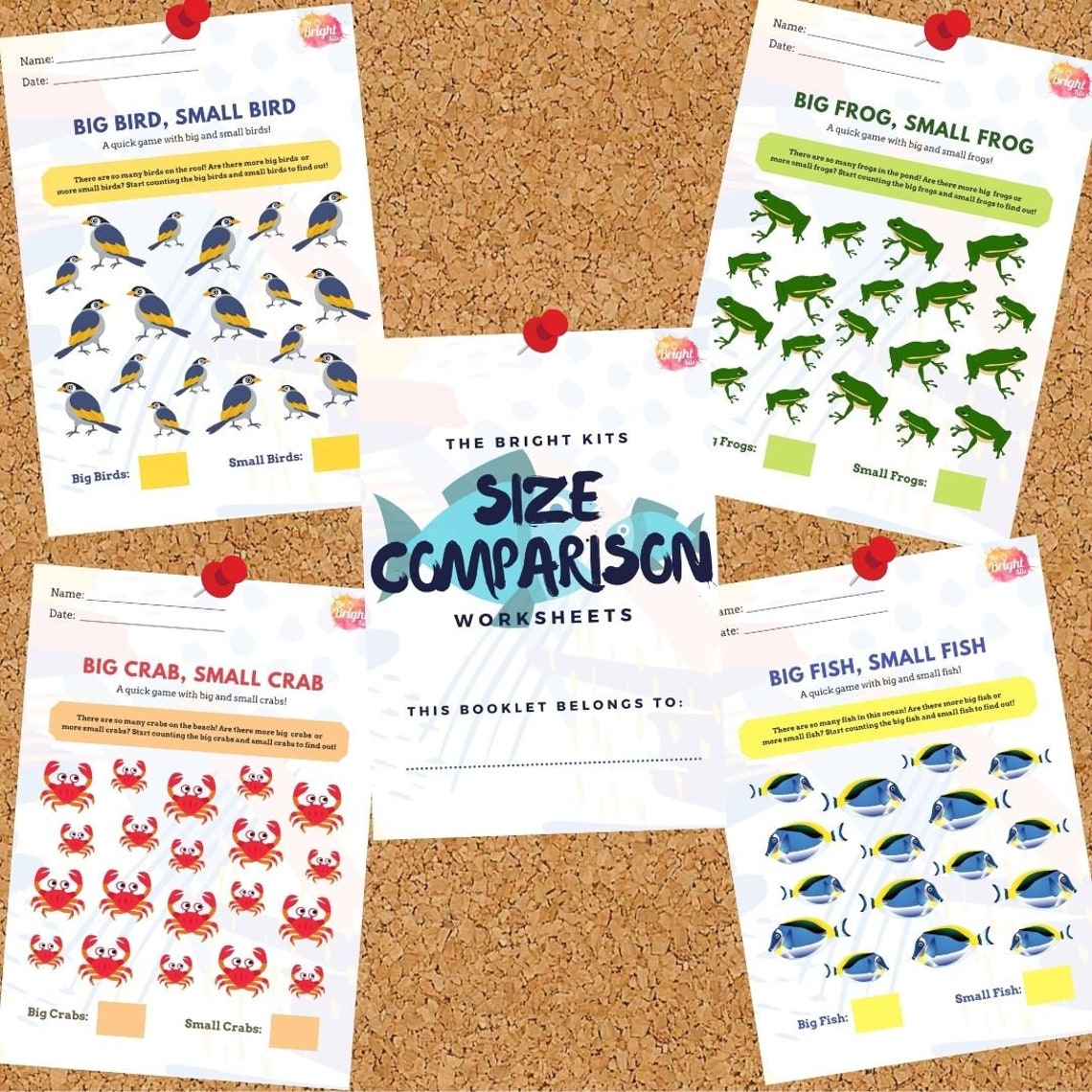 Size Comparison A4 Printable Worksheets | Counting | Visual ...