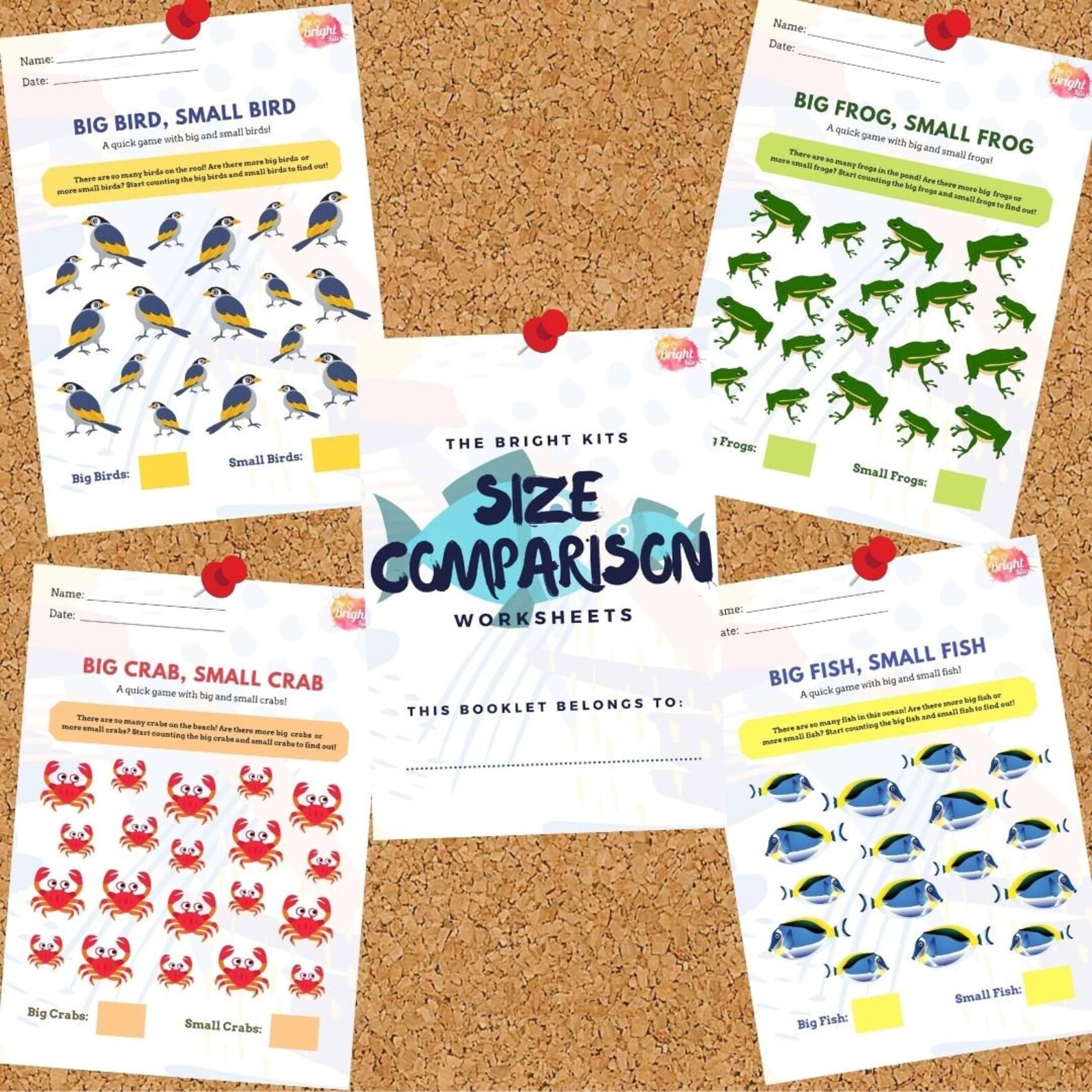 Size Comparison A4 Printable Worksheets | Counting | Visual ...