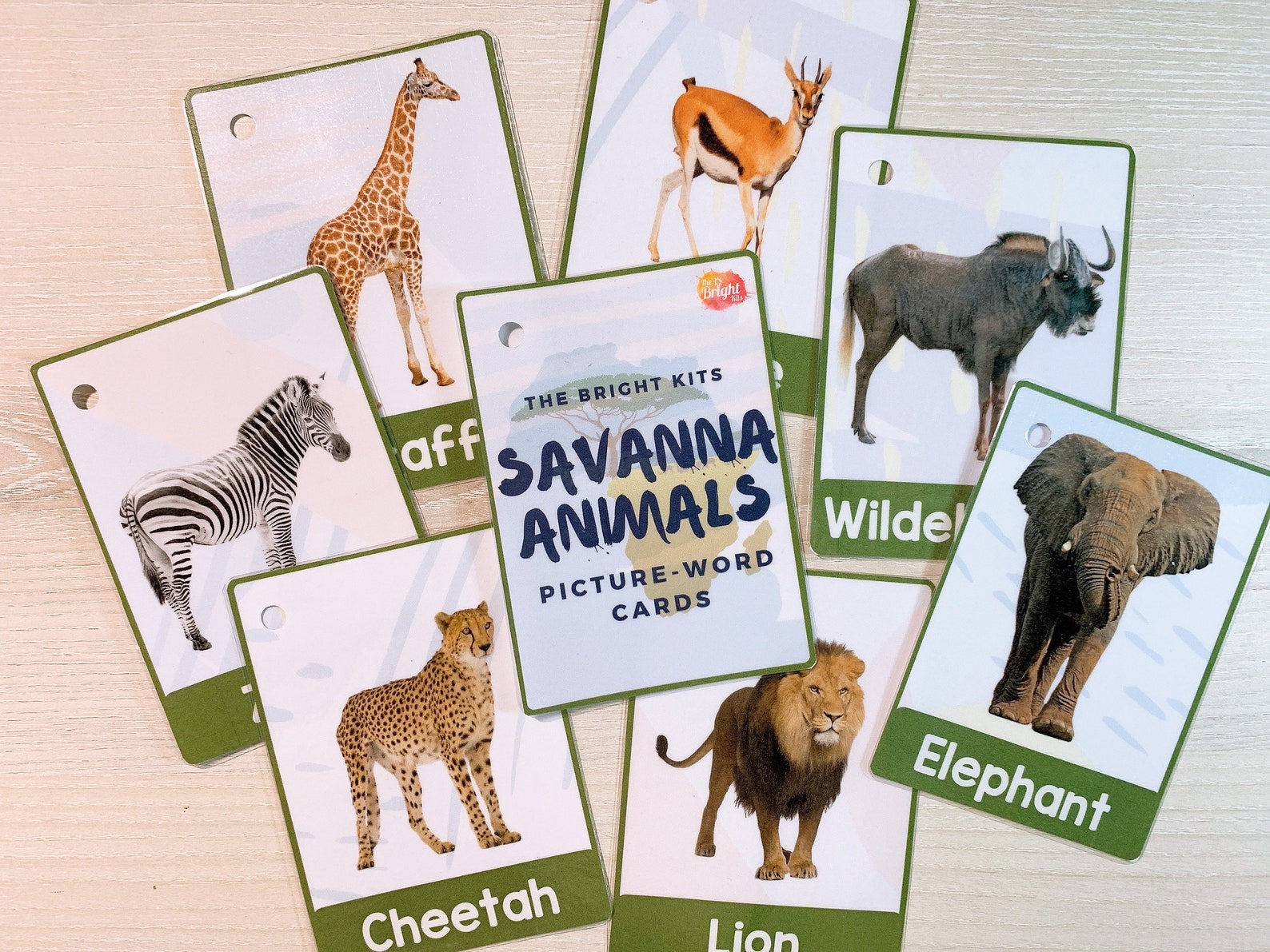 Animal Printable Picture-word Cards Set 48 Cards Animal Habitat ...