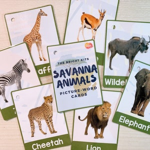 Animal Printable Picture-word Cards Set 48 Cards Animal Habitat ...