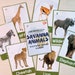 Animal Printable Picture-word Cards Set (48 Cards) | Animal Habitat ...