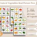Food Groups Printable Picture-word Cards Set 48 Cards Food - Etsy Singapore