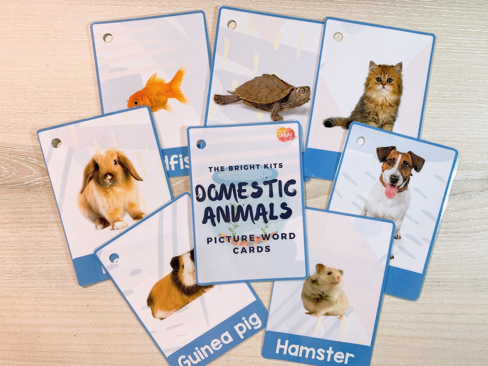 Animal Printable Picture-word Cards Set 48 Cards Animal Habitat ...