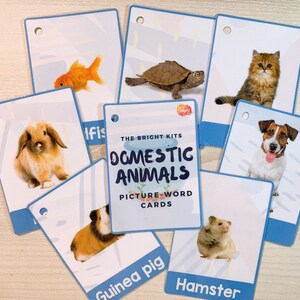 Animal Printable Picture-word Cards Set (48 Cards) | Animal Habitat ...