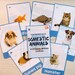 Animal Printable Picture-word Cards Set (48 Cards) | Animal Habitat ...