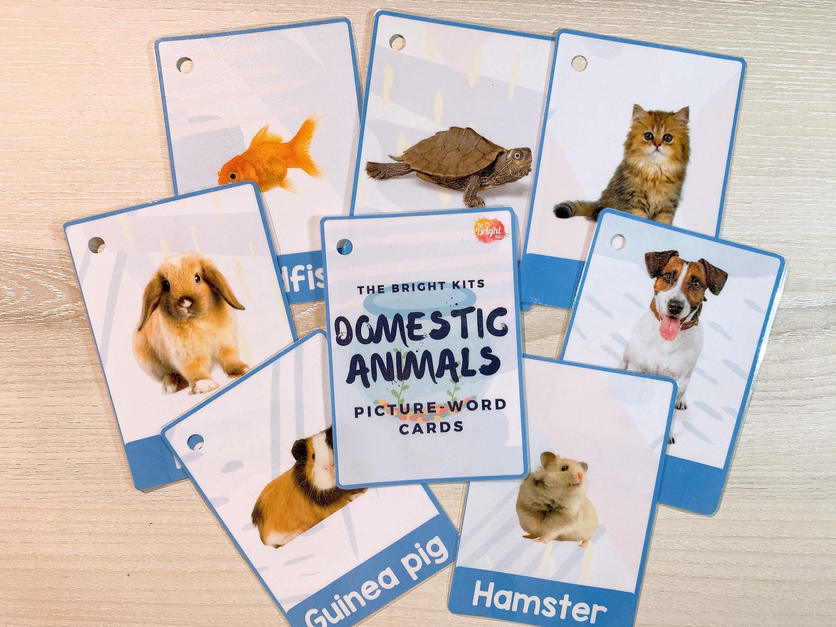 Animal Printable Picture-word Cards Set 48 Cards Animal Habitat ...