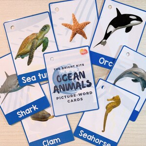 Animal Printable Picture-word Cards Set (48 Cards) | Animal Habitat ...