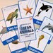 Animal Printable Picture-word Cards Set (48 Cards) | Animal Habitat ...