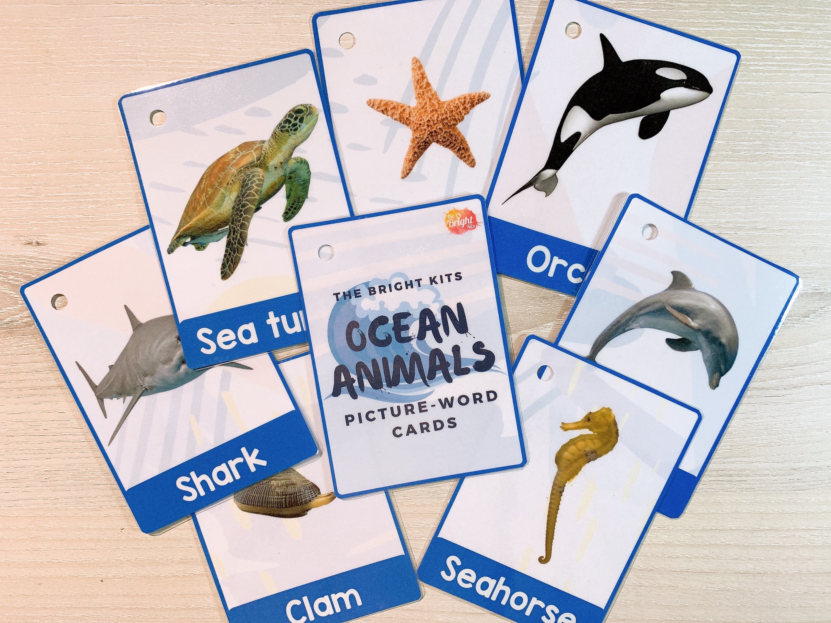 Animal Printable Picture-word Cards Set (48 Cards) | Animal Habitat ...