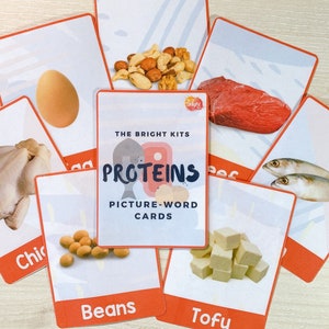 Food Groups Printable Picture-word Cards Set (48 Cards) | Food ...