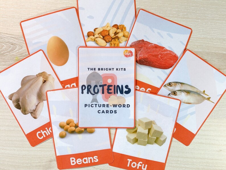 Food Groups Printable Picture-word Cards Set 48 Cards Food - Etsy Singapore