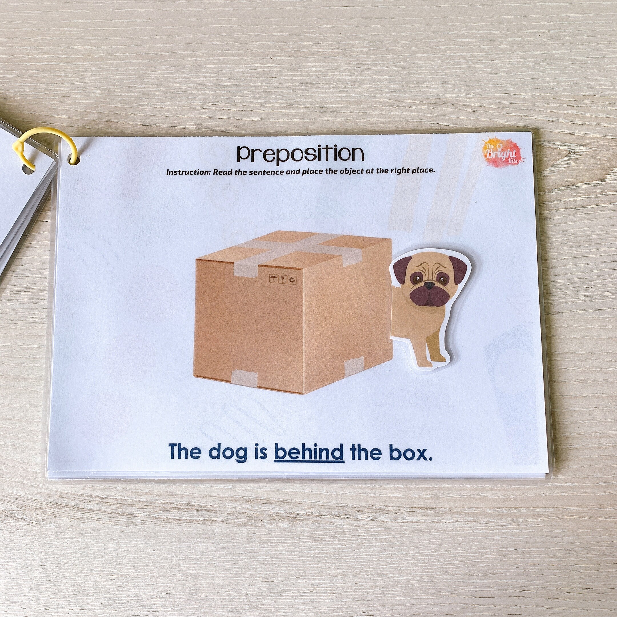 Preposition Recognition A5 Booklet | Positional Words | Placement ...