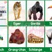 Animal Printable Picture-word Cards Set in German (48 Cards) | Animal ...