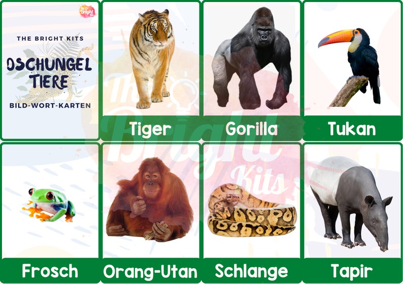 Animal Printable Picture-word Cards Set in German (48 Cards) | Animal ...
