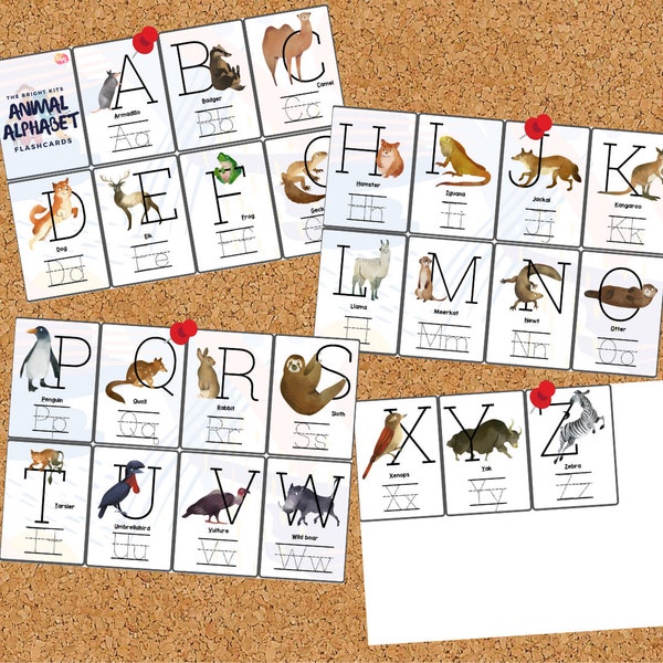 Alphabet Flashcards - Etsy