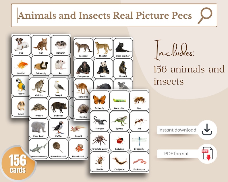 Animals and Insects Real Picture Cards Set (156 Cards) | Autism Visual ...
