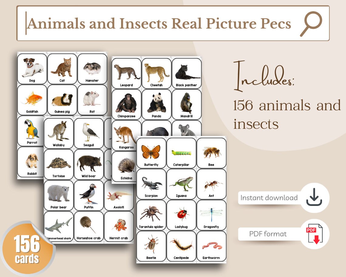 Animals and Insects Real Picture Cards Set (156 Cards) | Autism Visual ...