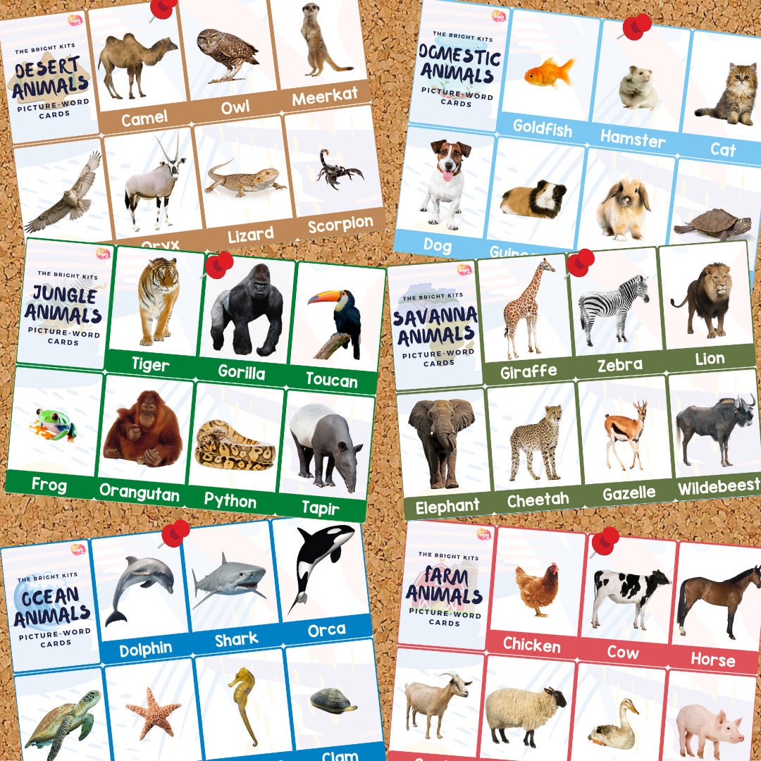 Animal Printable Picture-word Cards Set 48 Cards Animal Habitat ...