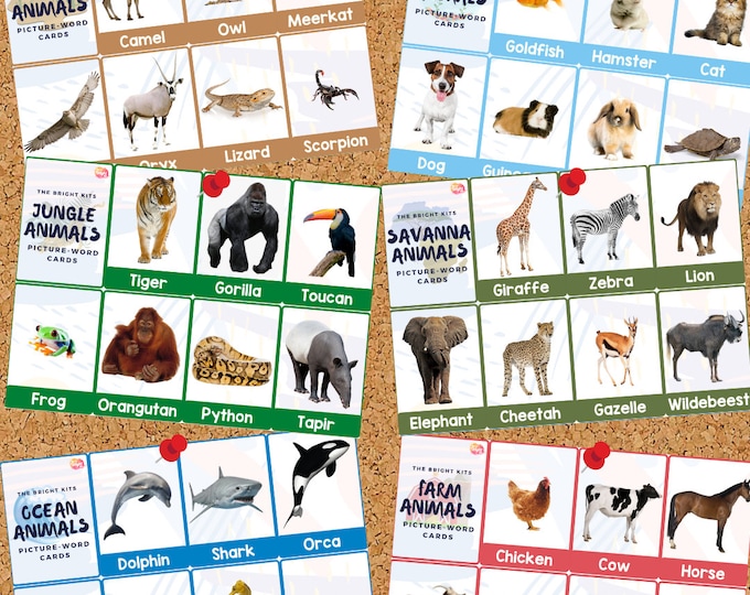 This item is unavailable | Etsy