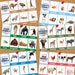 Food Groups Printable Picture-word Cards Set (48 Cards) | Food ...