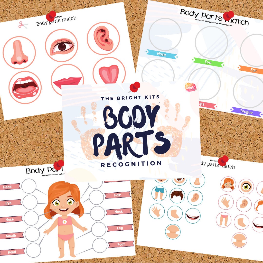 Body Parts Recognition A4 Printable Busy Booklet | Human Body | All ...