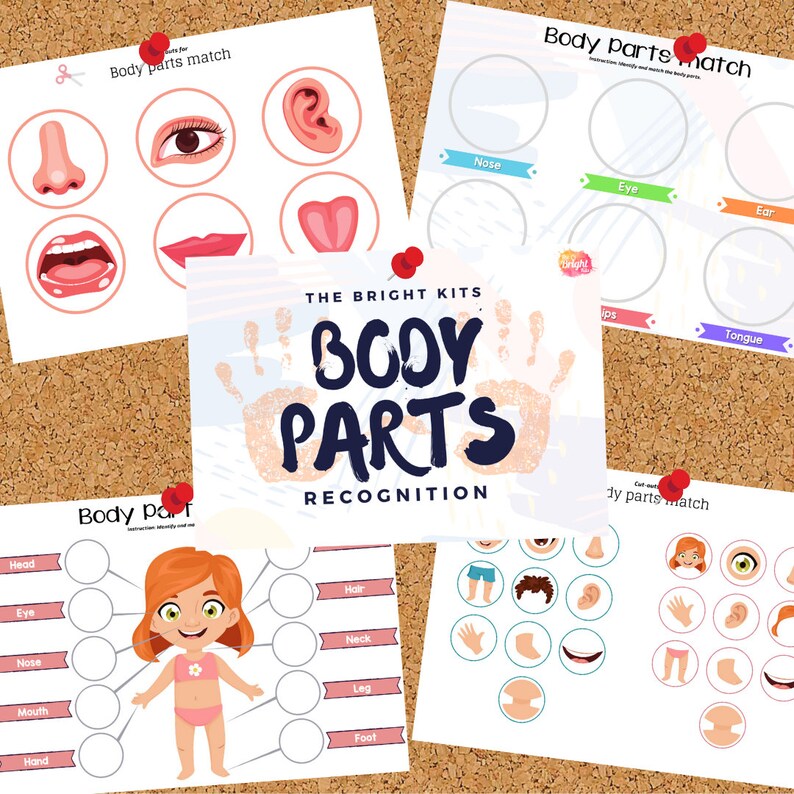Body Parts Recognition A4 Printable Busy Booklet | Human Body | All ...