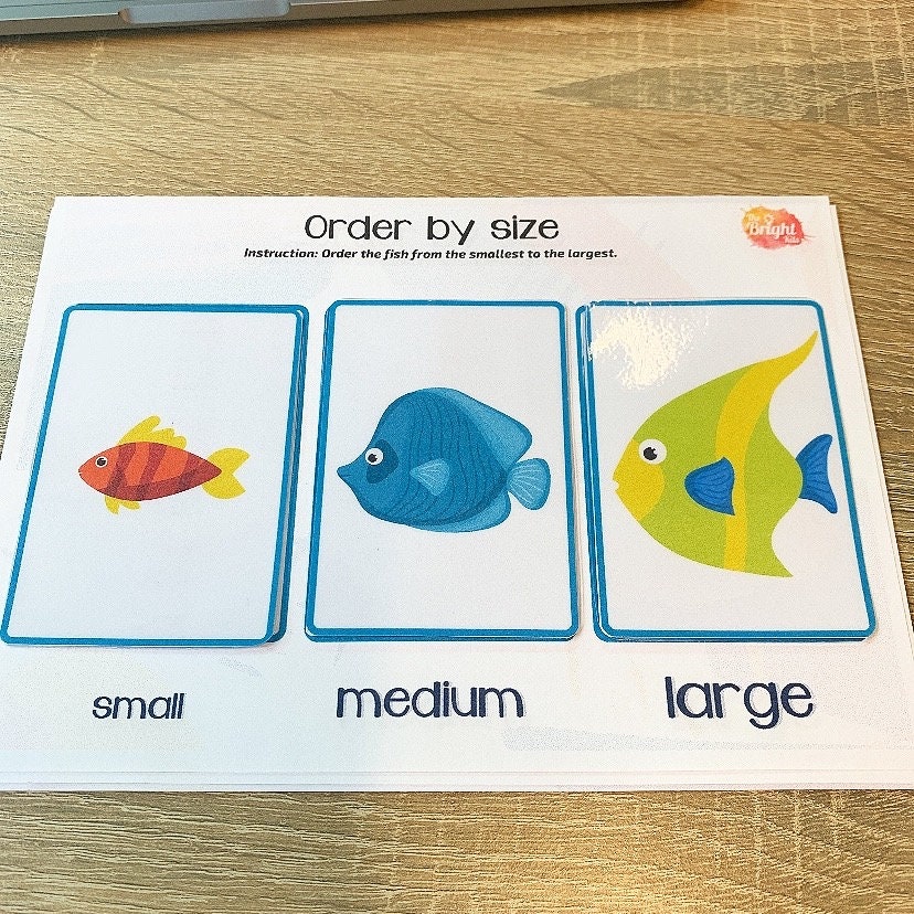 Size Comparison A5 Booklet | Ordering by Size | Large, Medium & Small ...