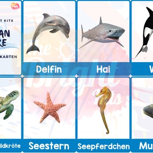 Animal Printable Picture-word Cards Set in German (48 Cards) | Animal ...