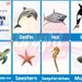 Animal Printable Picture-word Cards Set in German (48 Cards) | Animal ...