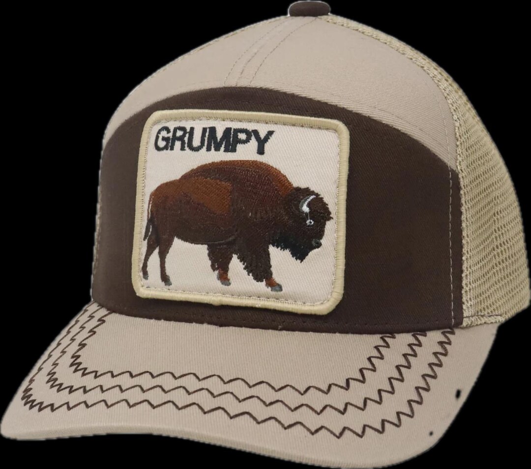 Embroidered Grumpy Bison Cap - Etsy