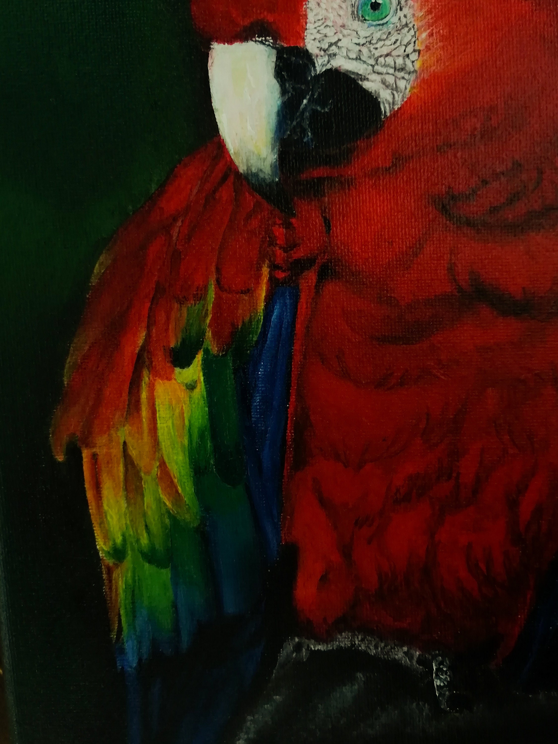 Scarlet Macaw Acrylic Painting - Etsy