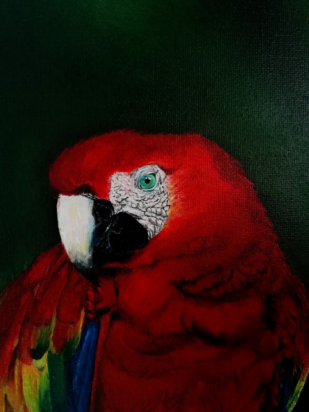 Scarlet Macaw Acrylic Painting - Etsy