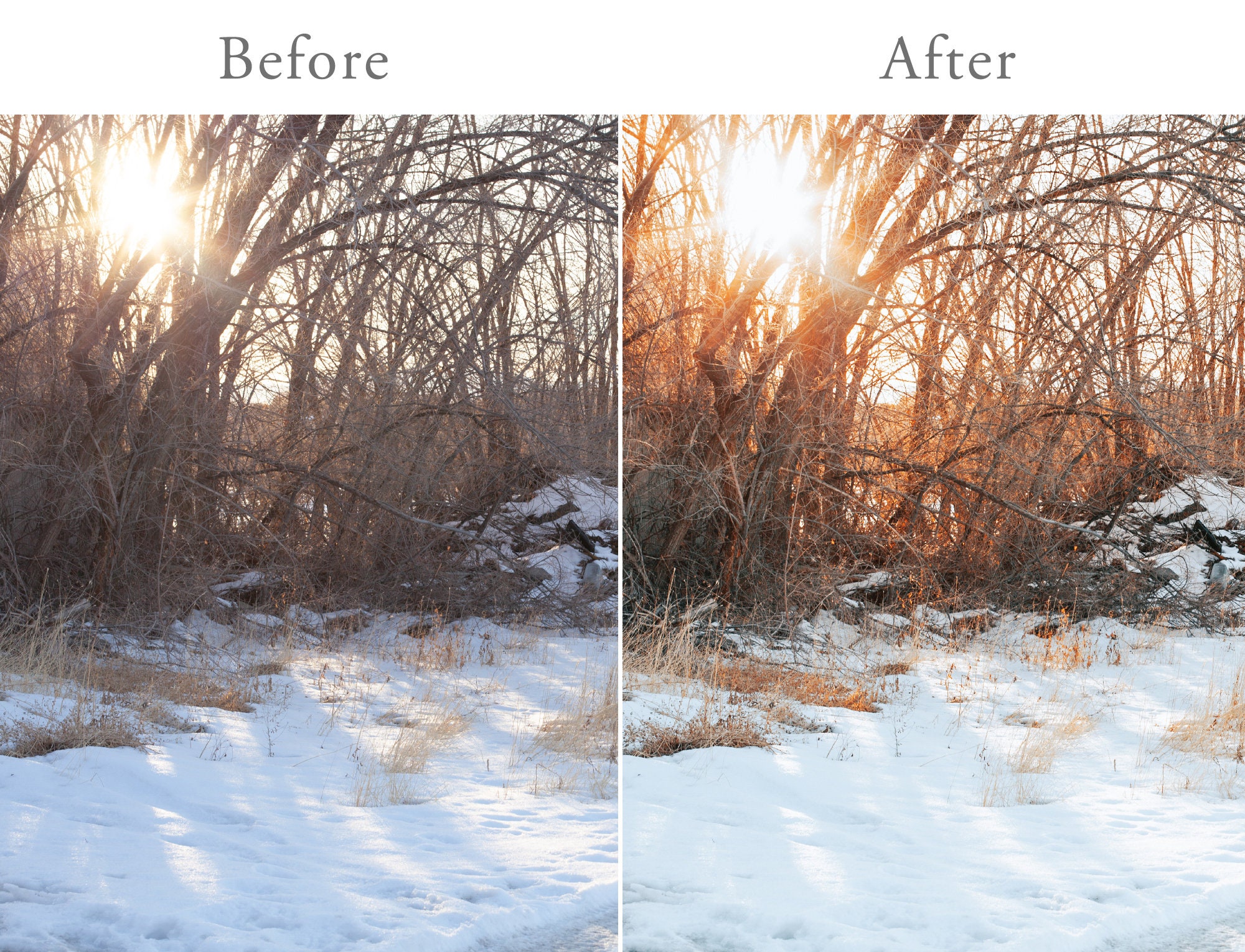 Sunlight Photoshop Action // Warm Tone Warm Light Sundown - Etsy