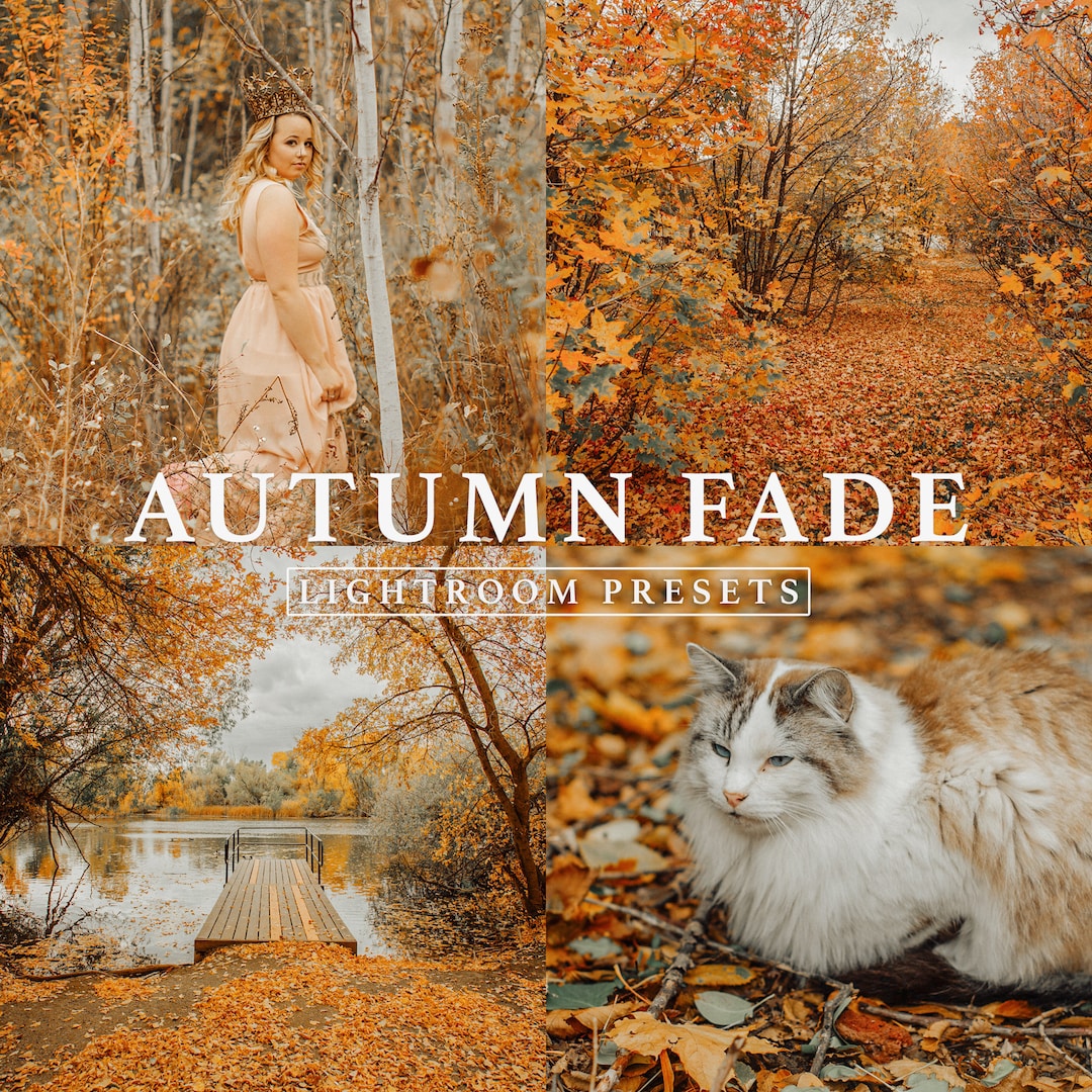 Autumn Fade Lightroom Presets and Photoshop Actions // Autumn Presets ...