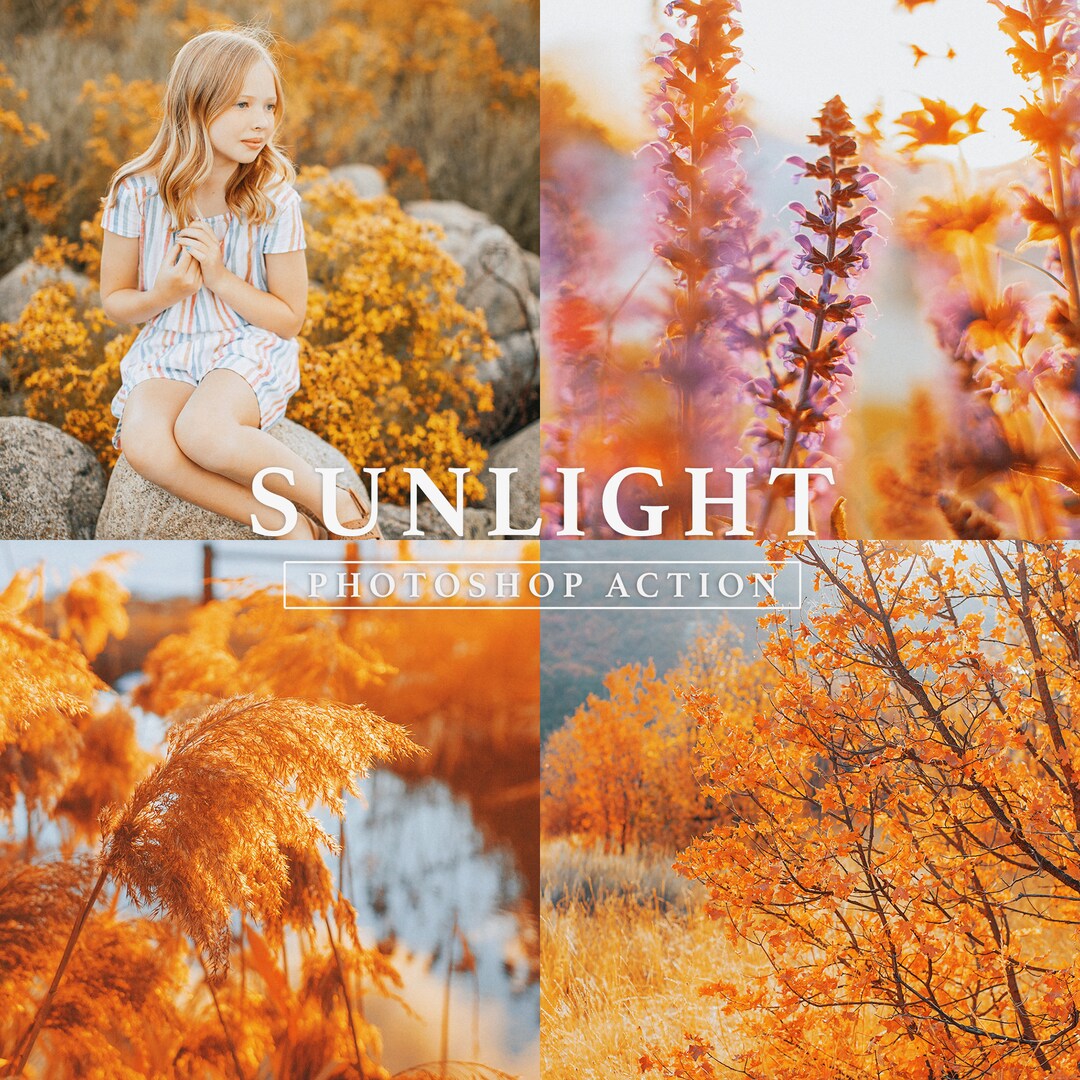 Sunlight Photoshop Action // Warm Tone, Warm Light, Orange Tones ...