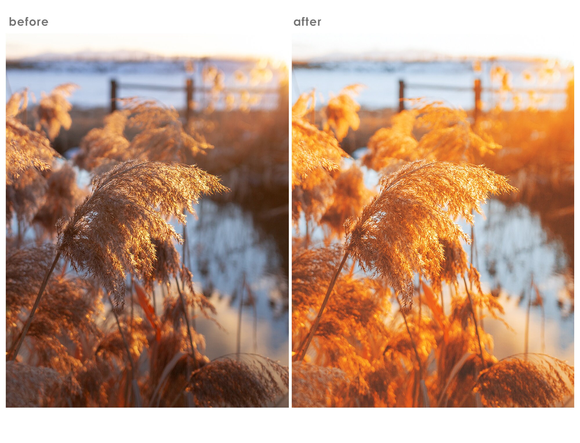 Sunlight Photoshop Action // Warm Tone Warm Light Orange - Etsy