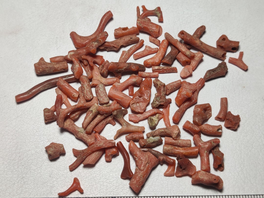 Natural Coral Raw Crystals / 73 Carats / Rough Gemstone / Red Color - Etsy