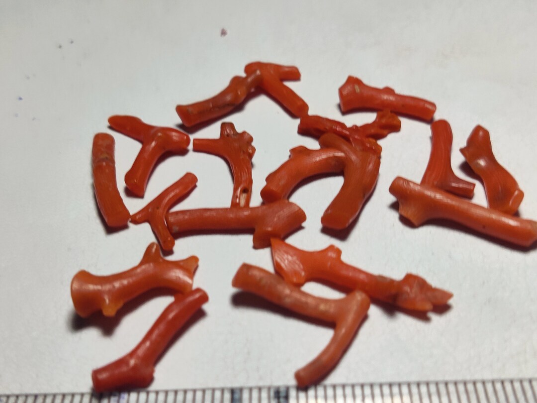 Finest Quality Natural Coral / 28.5 Carats/ Premium Quality / Red Color ...