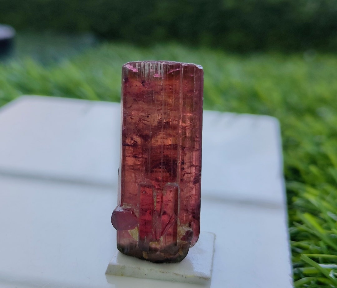 Exclusive! Natural Rubellite Tourmaline Crystal/ 78.9 Carats / 38×16× ...