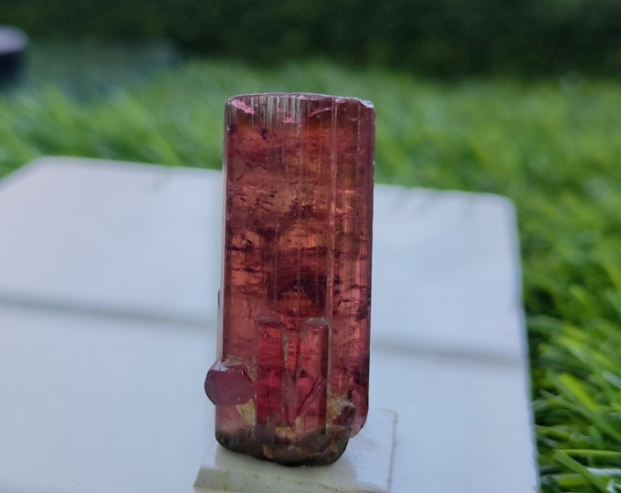Exclusive! Natural Rubellite Tourmaline Crystal/ 78.9 Carats / 38×16× ...