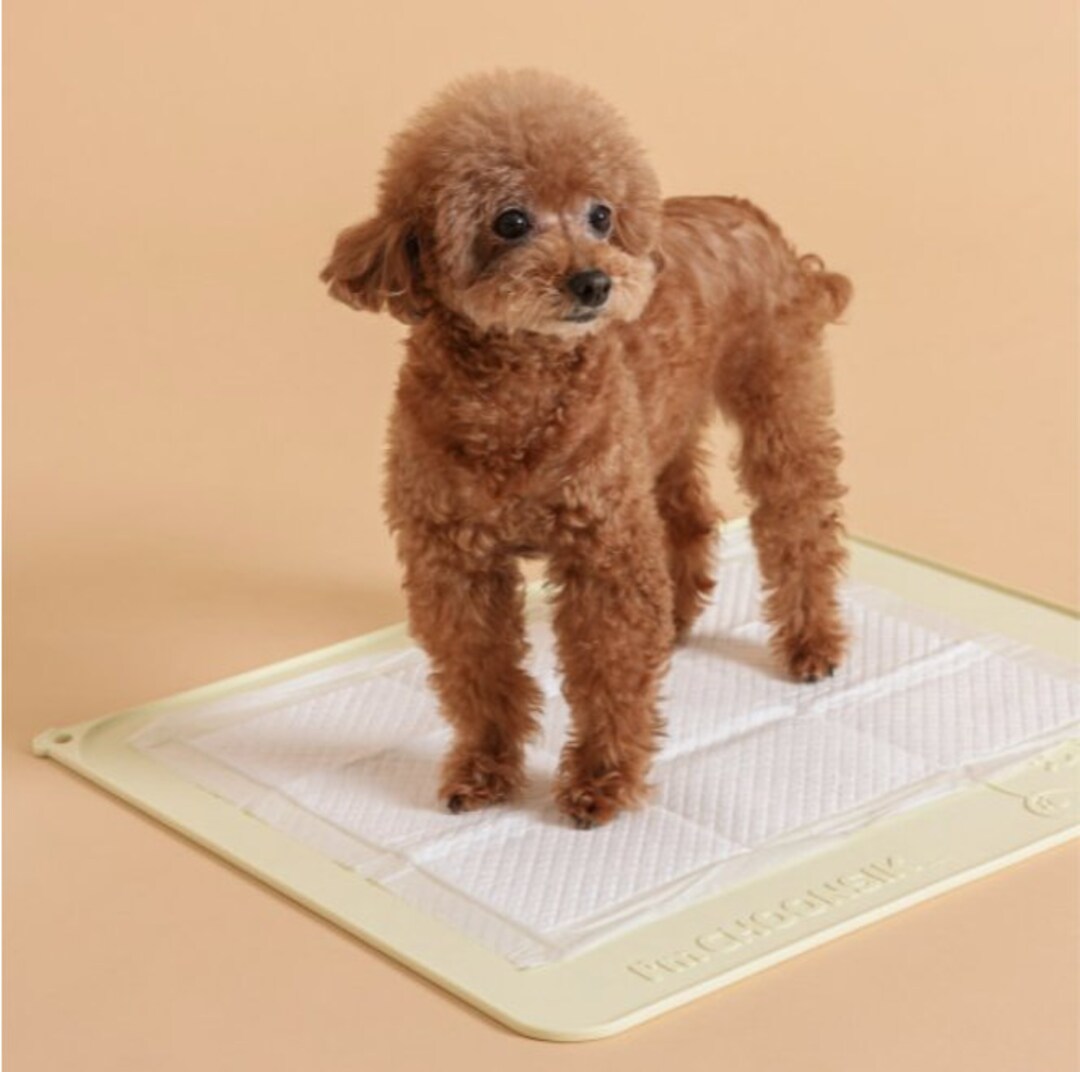 KAKAO FRIENDS Dog Silicon Mat - Choonsik - Etsy