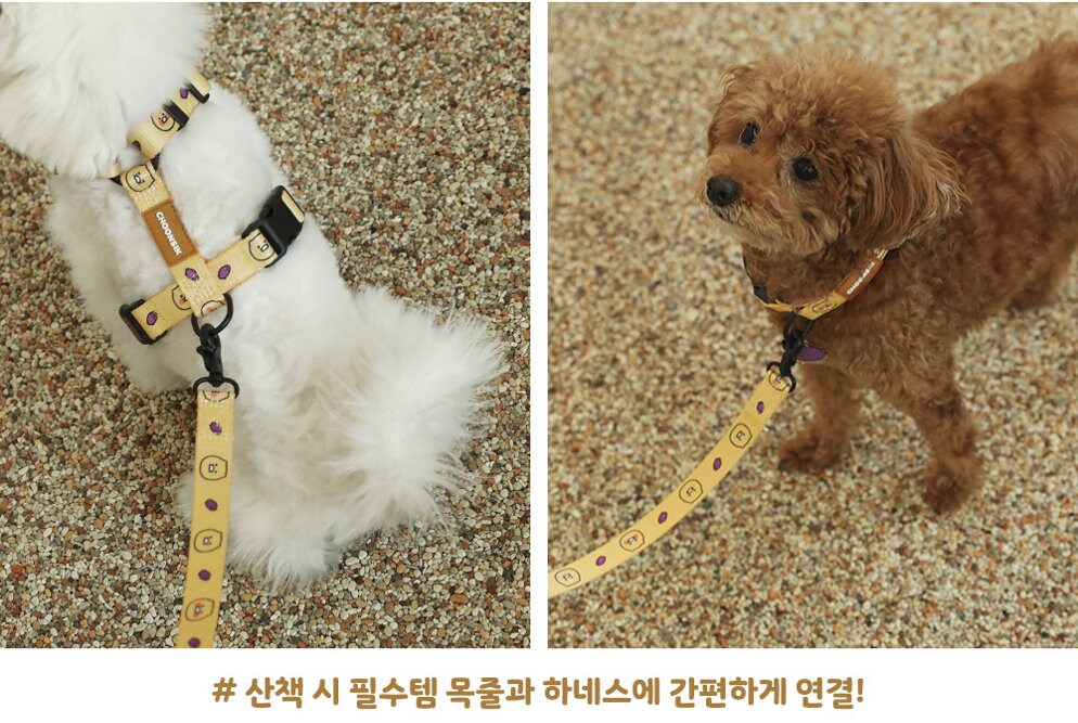 KAKAO FRIENDS Dog Leash 2M Choonsik - Etsy
