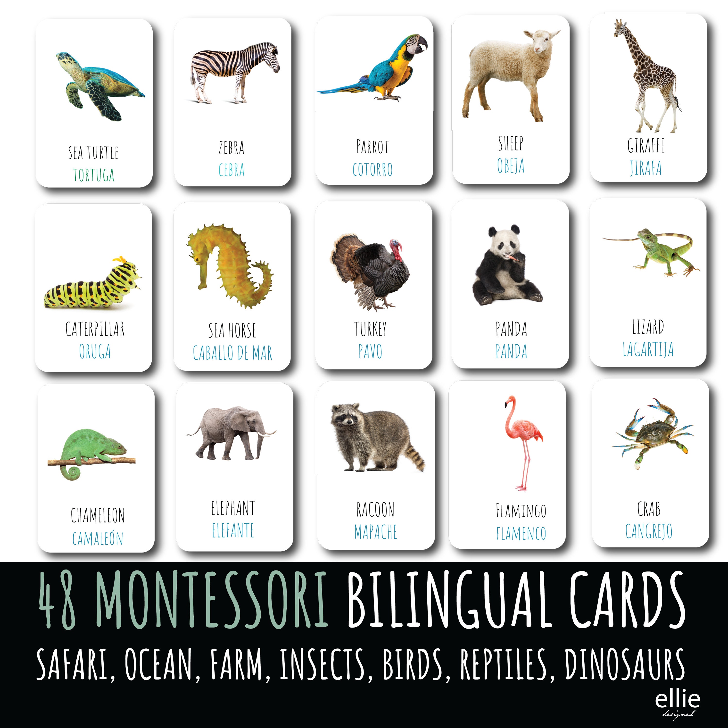 ANIMALS ANIMALES English Spanish Montessori Bilingual Cards | Etsy