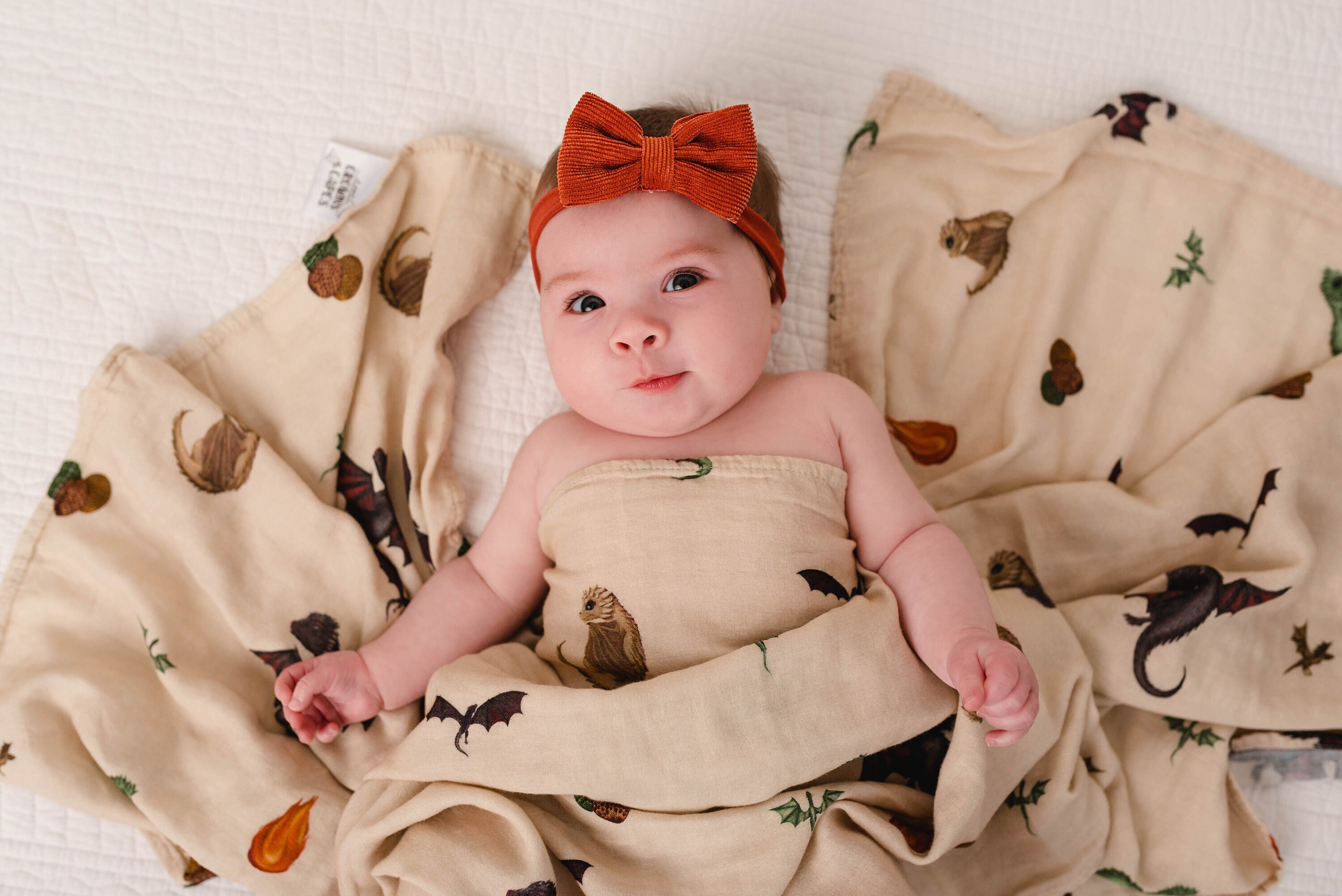 Bamboo Swaddle Blanket DRAGONS Dragons Swaddle Blanket - Etsy