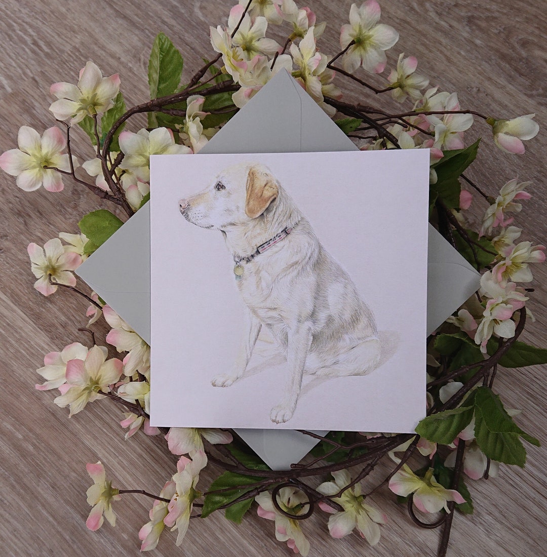 Labrador Greeting Card, Golden Labrador card, Yellow Labrador card ...