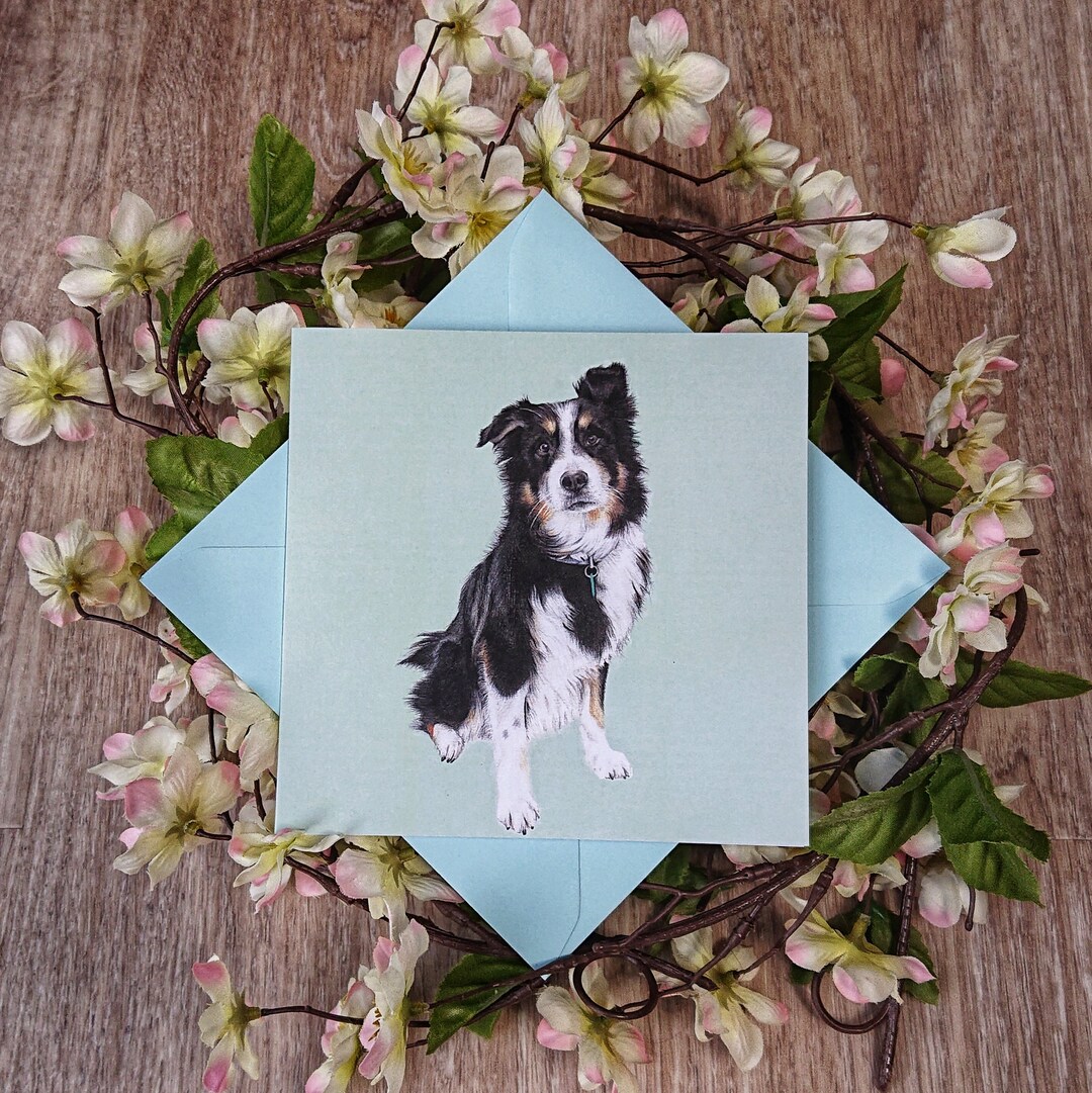 Border Collie Card, Tricolour Collie Card, Sheepdog Card - Etsy