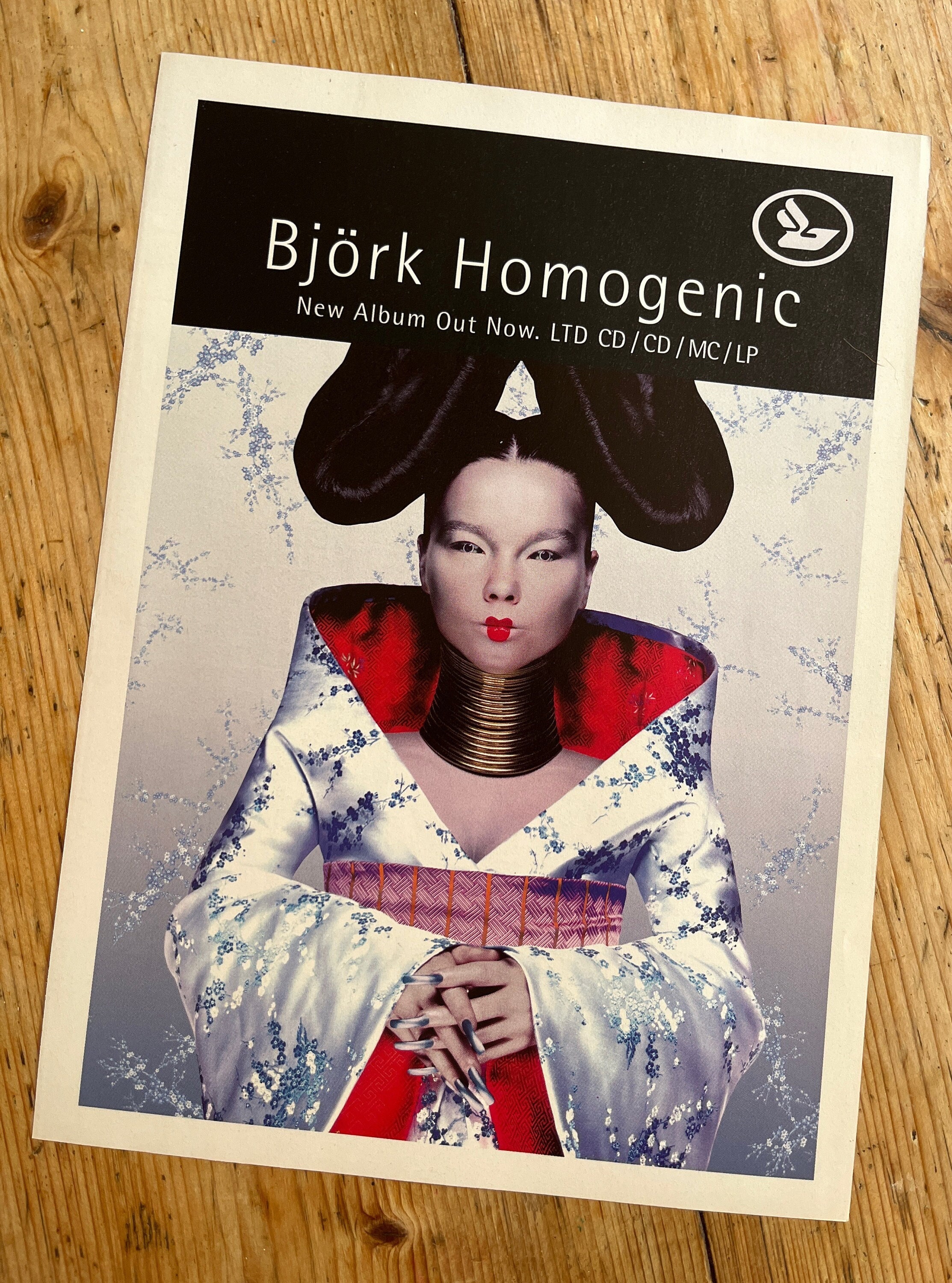 Bjork Homogenic Live
