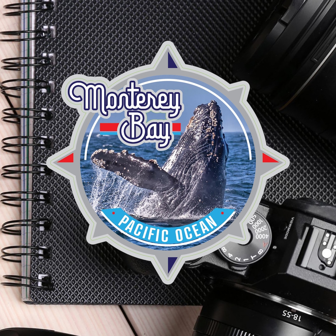 Monterey Bay Decal / 2.5" Sticker / Whale / California / Pacific Ocean ...