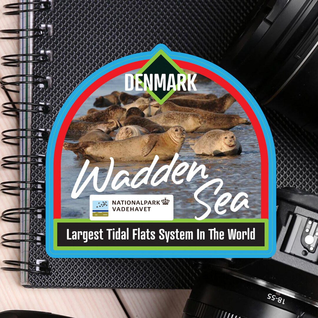 Wadden Sea Decal / 3.5" Sticker / Denmark / Seals / North Sea / Tidal ...